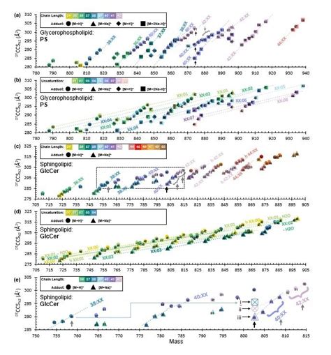 New Lipid Shape Atlas Holds Key To Early Disease Detection