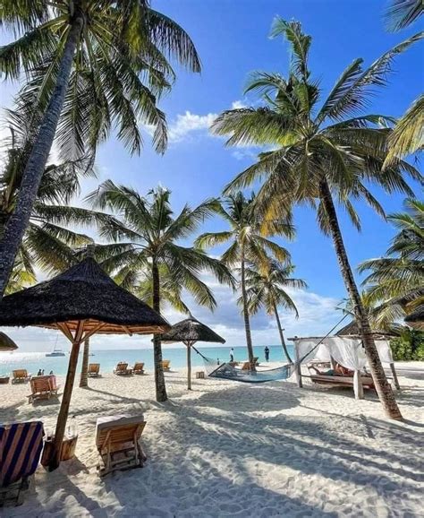 Beautiful Island In Africa Zanzibar Beaches Zanzibar Travel Zanzibar