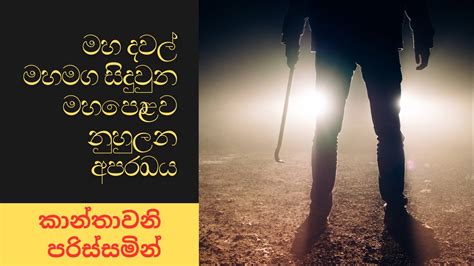 මහ දවල් මහ මග සිදුවු අපරාධය Youtube