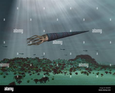 Ordovician Fossil Stockfotos Und Bilder Kaufen Seite 2 Alamy
