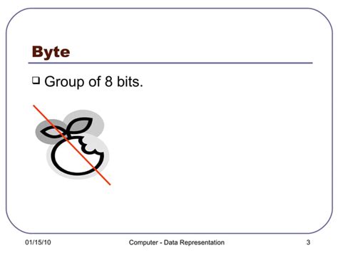 computer data representation ppt