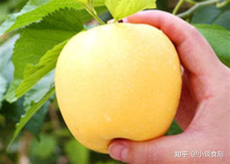 同样是苹果，注意分清红富士、黄金帅、红将军，买错，难吃不爽脆 知乎