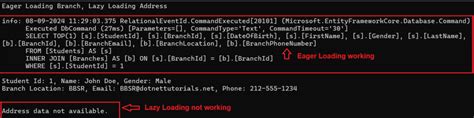 Lazy Loading In Entity Framework Core Dot Net Tutorials
