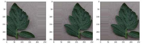 Illustration Of Width Shift Download Scientific Diagram