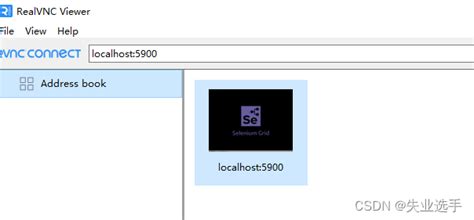 Dockerselnium Gridpythonvnc实现多线程ui自动化安装教程二seleinum Vnc Csdn博客