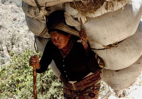 Manual Handling Tile Explainer Plus Free Training Course