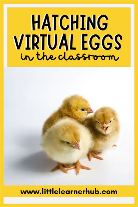 Chick Hatching Classroom Activities Bring The Magic Without The Mess