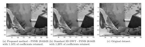 Nonlinear Approximation Subjective Evaluation Download Scientific Diagram