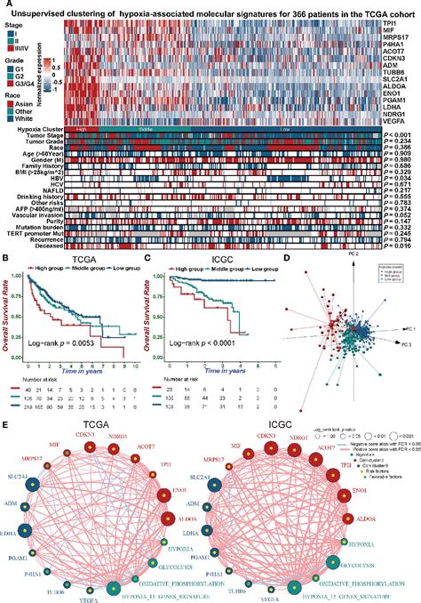 Figure 1 From A Novel Hepatocellular Carcinoma Specific Hypoxic Related Signature For Predicting