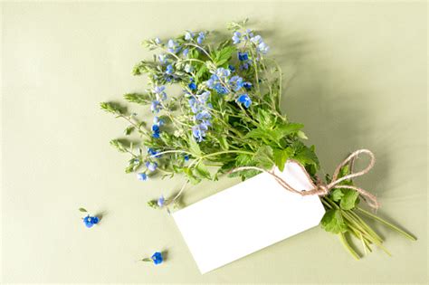 Germander Speedwell 꽃의 귀여운 꽃다발은 밝은 노란색 배경에 카드로 꼬기로 묶인 공예 종이에 포장되어 있습니다 Jubilee Year에 대한 스톡 사진 및