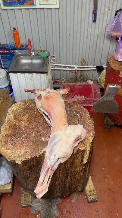 Разделка барана на шашлык баранина кулинария шашлык мясо мангал шаурма Youtube