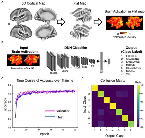 Dnn Classifier For Brain Activity Decoding A Following The Standard