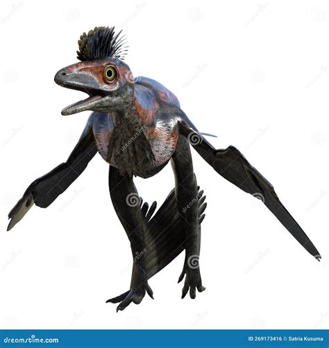 Microraptor Dinosaur 3d Isolated Stock Image 269173399