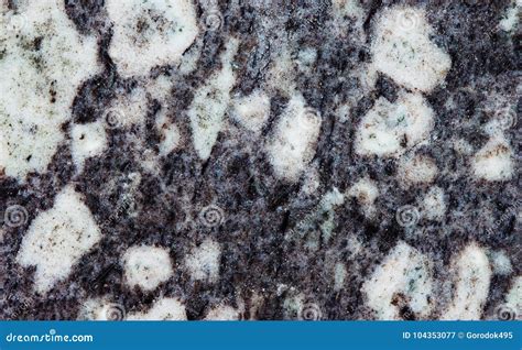 Diorite Mineral Stonemagmatic Plutonic Rock Intrusive Igneous Rock