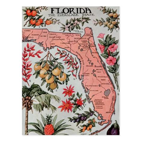 Vintage Florida Map Postcard Zazzle