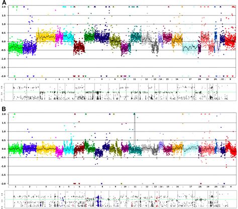 Genetic Profiling Uncovers Genome Wide Loss Of Heterozygosity And Provides Insight Into