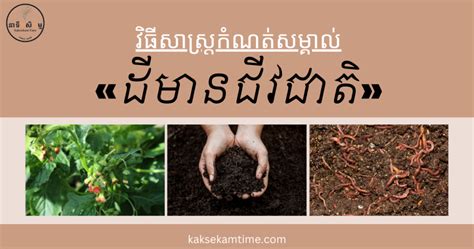 ចំណុចតូចៗដែលយើងអាចសម្គាល់ពីលក្ខណៈរបស់ដីដែលមានជីវជាតិ នាទីកសិកម្ម