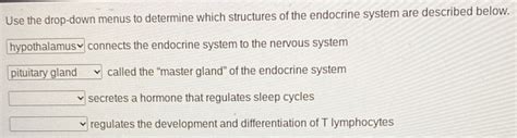 Solved Use The Drop Down Menus To Determine Which Structures Of The Endocrine System Are