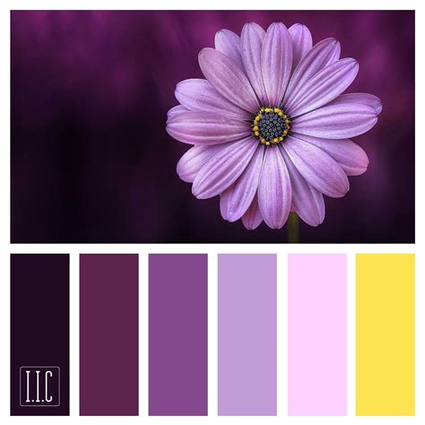 Палитра из трех сочетающихся цветов 55 фото картинки 2pic Club