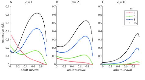 Extinction Risk After 100 Years Due To Demographic Stochasticity For