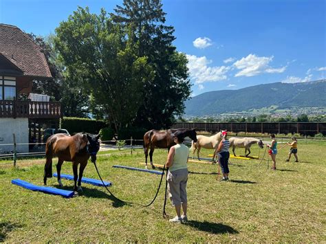 Kurse Natasha Bachmann Gautschi