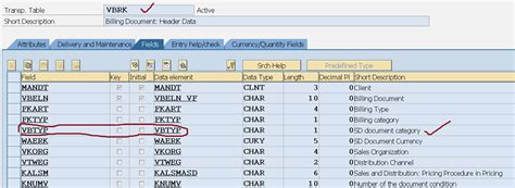Vba Cstr Function Explained With Syntax Examples Vbaf1com