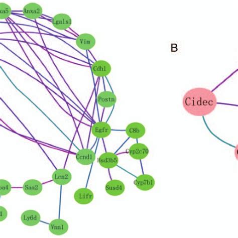 Module Analysis Of The Ppi Network A Ppi Network Of Shared