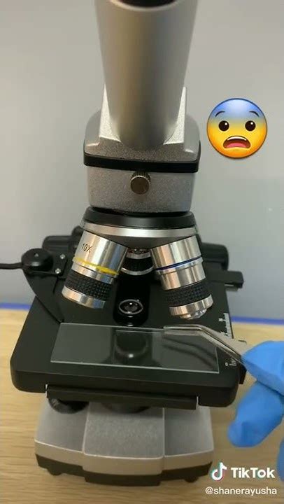 ක්ෂුද්‍ර ජීවීන් Youtube