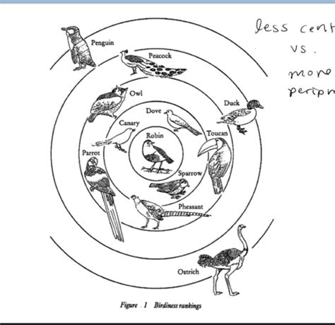 lin200 intro to language final part 1 flashcards quizlet