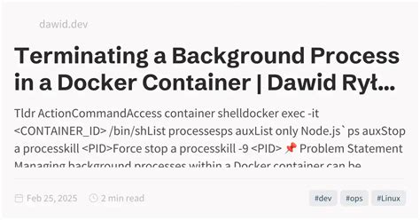 Terminating A Background Process In A Docker Container Dawid Ryłko