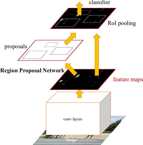 Working Schematic Of The Faster R CNN Detection Algorithm Download Scientific Diagram
