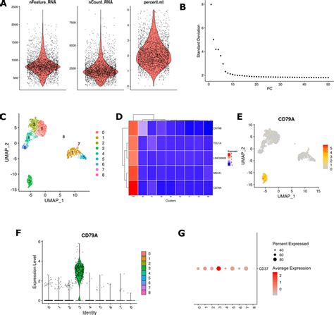 Asc Seurat Iteratively Generates Supporting Plots Based On The Seurat Download Scientific