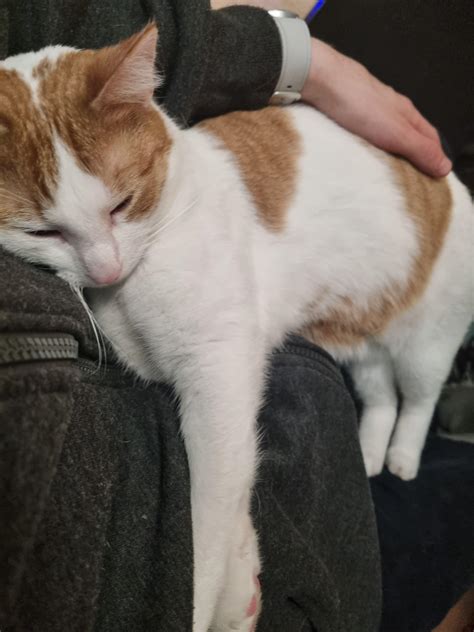My Lil Cutie Came Up And Full Power Snuggled Up To Me While I Was