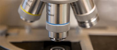 Medical Diagnostics In Developing Countries Set To Improve With 3d