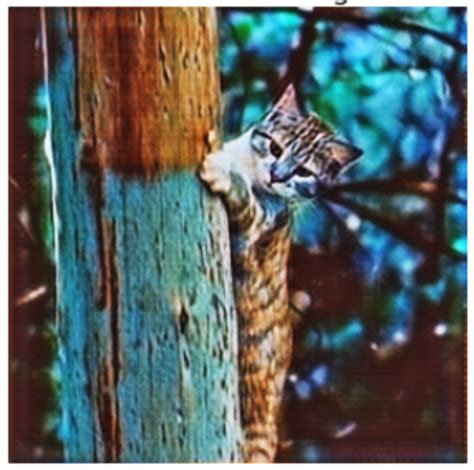 Building A Cyclegan Model With Custom Dataset Using Tensorflow 2 By Nahid Alam Tds Archive