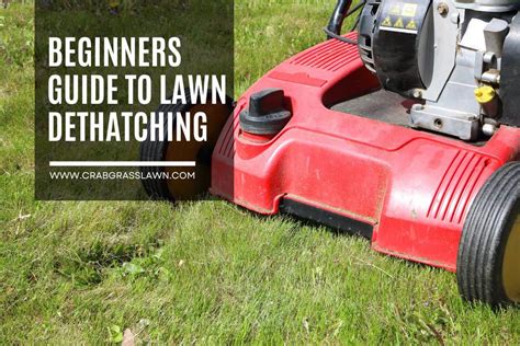 Beginners Guide To Lawn Dethatching 2025 Crabgrasslawn