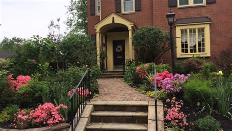 Brazelberries® Raspberry Shortcake™ Dwarf Thornless Raspberry Finegardening