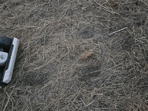 Stuck In An Infinite Retry Loop Trying To Go Uphill Rmammotiontechnology