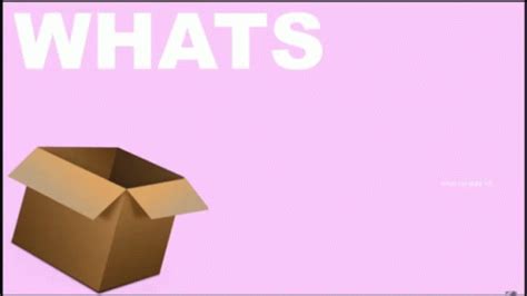 Whats In The Box S