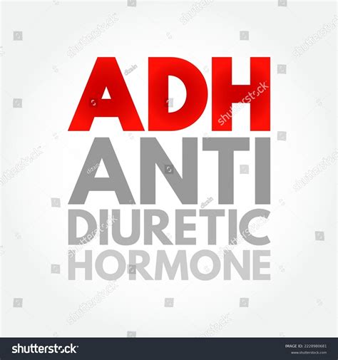 Adh Antidiuretic Hormone Nonapeptide Synthesized Hypothalamus Stock Vector Royalty Free