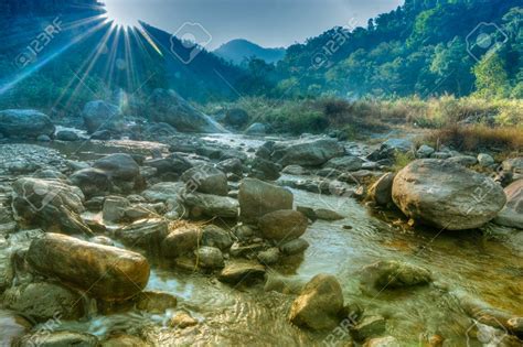 Qué Elementos Abióticos Posee Un Ecosistema Descripción Y Ejemplos