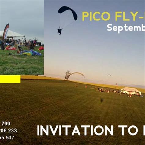 The 25th Pico Fly In 2022 Nswhpa
