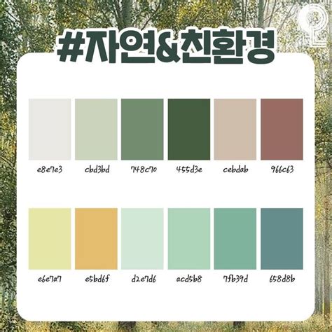 Hot Ppt 만들 때 퀄리티 높일 수 있는 색조합 모음  색 구성 색 코드 색표