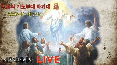 주님의 기대부대 하기대 축복하시는 예수님 시몬과데레사 은혜말씀 Ccm추천곡 Ccm 찬양모음 가톨릭복음성가 힐링 Youtube