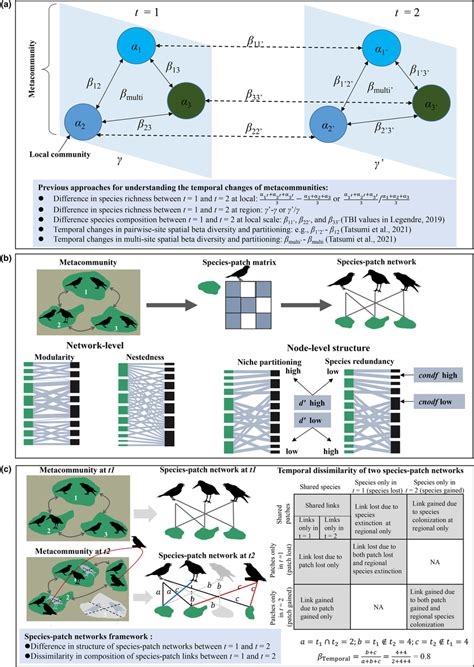 A An Overview Of Previous Approaches To Understand The Temporal
