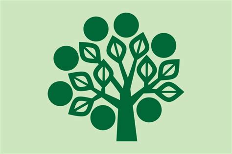 Tree Assortment Font Masterbundles