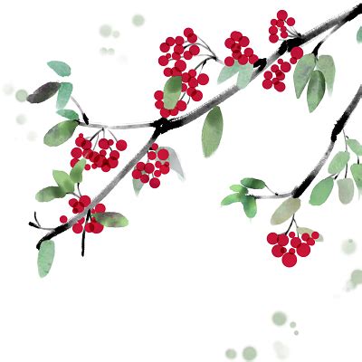 24节气白露插画 24节气白露插画设计图片素材 觅知网