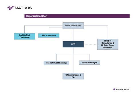 Organisation Chart English Pdf