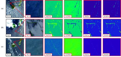 illustration of floating macroalgae detection index on sentinel 2 data