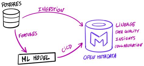How To Bring Custom Ml Models Into Openmetadata Towards Data Science